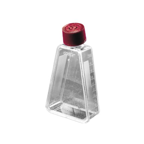 Corning 3055 Polystyrene 10mL Triangular Angled Neck Cell Culture Flask ...