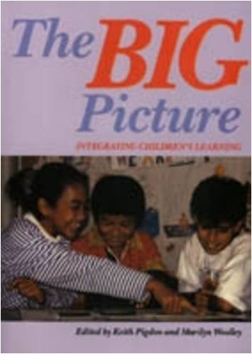 THE BIG PICTURE: Pigdon, Keith, Woolley, Marilyn: 9780435087920: Amazon ...