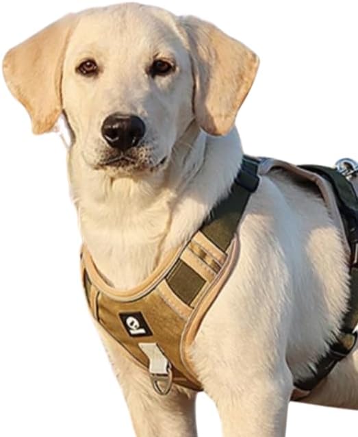Love4Tails Dog Vest Harness (XL, Khaki) 22-45kg : Amazon.in: Pet Supplies