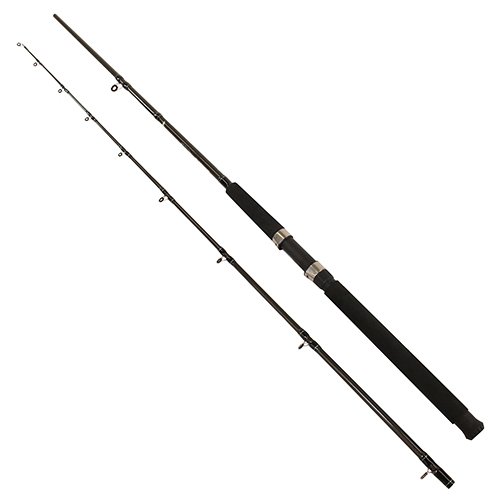 Best Walleye Rods of 2021 – Rated & Reviewed