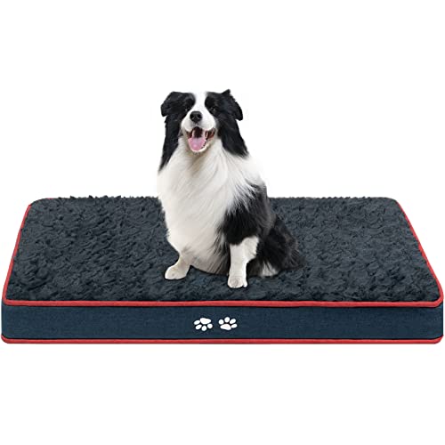 Cozy Up Your Canine: Our Top 10 Picks for the Best Puppy Crate Bedding ...