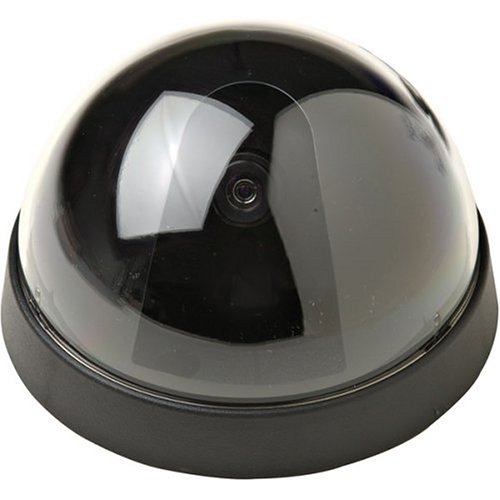 Buy Pro Video CVC-185DC B/W Dome Camera Online at Low Prices in India ...