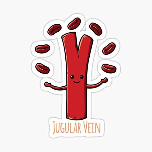Amazon.com - Funny Anatomy Jugular Vein Nurse Doctor Medical Student ...