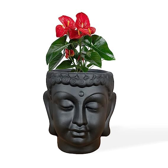 SHAVI DE MIDI Buddha face Ceramic planters, Table top Indoor Planter ...