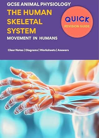 Quick Revision Guide - Human Skeletal System: GCSE Animal Physiology ...