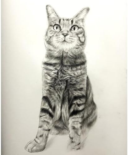 Amazon.com: Custom Pet Portrait, Dog Portrait, Cat Memorial Gifts ...