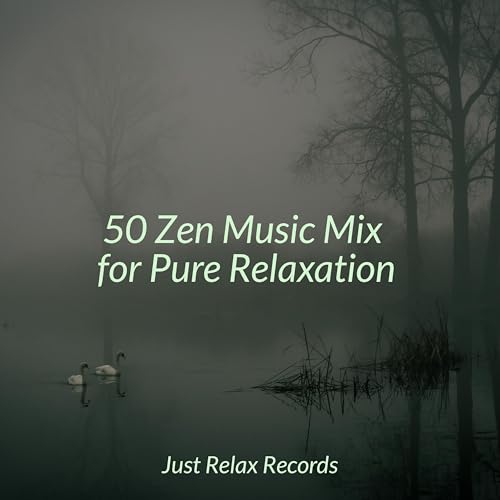 Play 50 Zen Music Mix for Pure Relaxation by Música Para Meditar ...