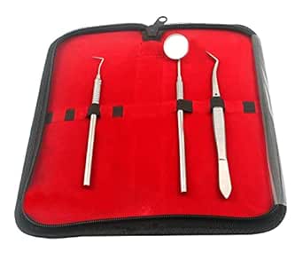AA PRO TOOLS AA PRO DENTAL HYGIENE TOOL KIT - INCLUDES STAINLESS STEEL ...