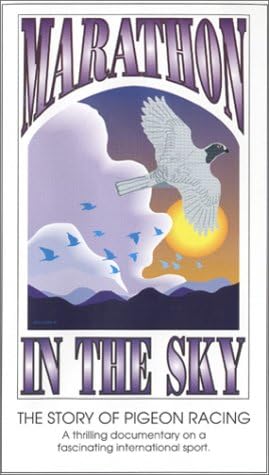Amazon.com: Marathon in the Sky - The Story of Pigeon Racing [VHS ...