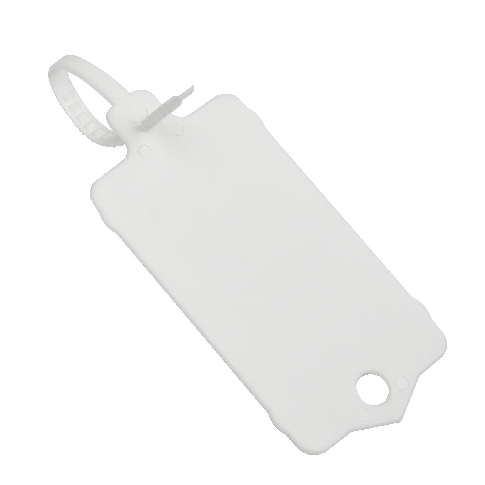 Amazon.com : LeadSeals 100pcs Blank Plastic Tags for Labeling Reusable ...