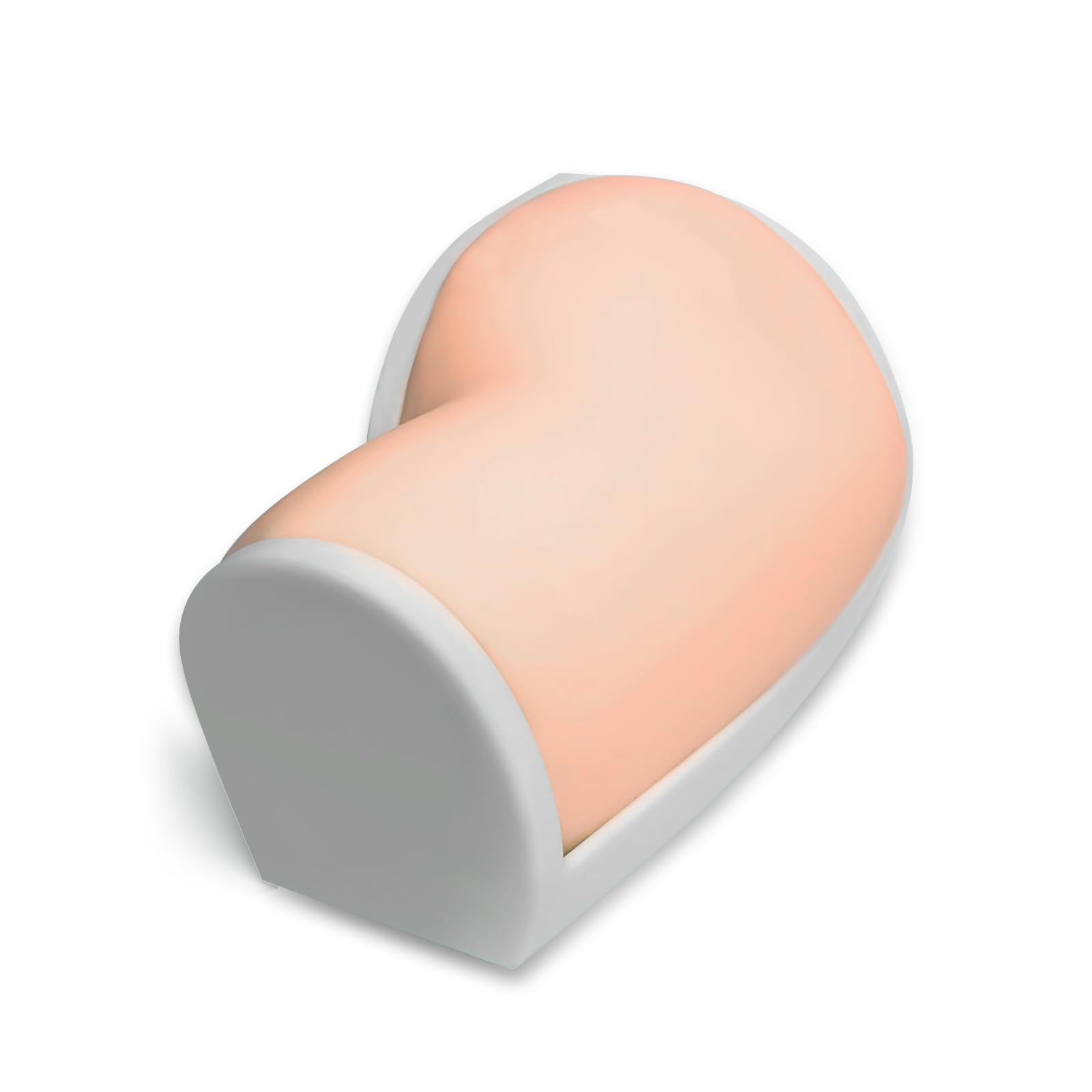 Snapklik.com : Sciatic Nerve Model,Can Be Used For Practice Of Sciatic ...