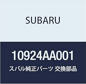Subaru Gasket Control Valve, Valve Cover & Stem - Amazon Canada
