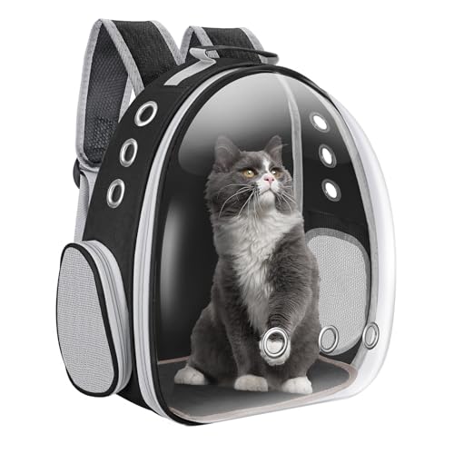 Cat Backpack – The 15 best products compared - Wild Explained