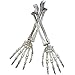 Amazon.com: One Pair Halloween Plastic Skeleton Arm Life Size Halloween ...
