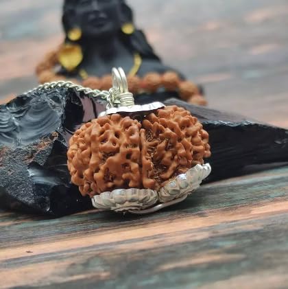 All Stone Gauri Shankar Rudraksha Original Certified Gowri Shankar ...