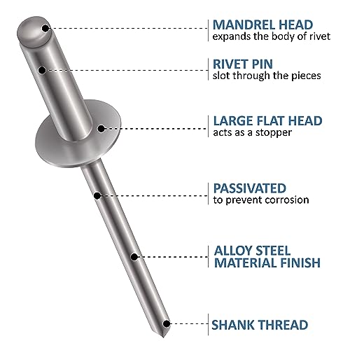 4mm x 11mm Pop Rivets Rivet with Large Flange Rivets (20 Pack) – Blind ...