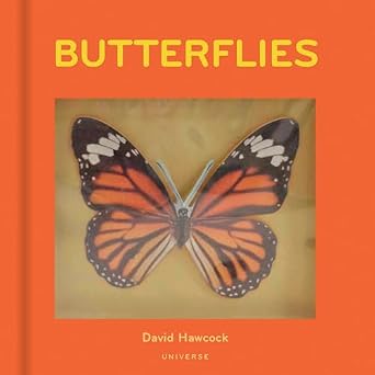 Butterflies: Pop-Up : Hawcock, David: Amazon.es: Libros