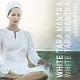 【発売日：2023年04月28日】・製造元:Dharma Dhara