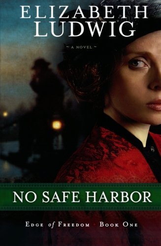 No Safe Harbor: Elizabeth Ludwig: 9781620905753: Amazon.com: Books