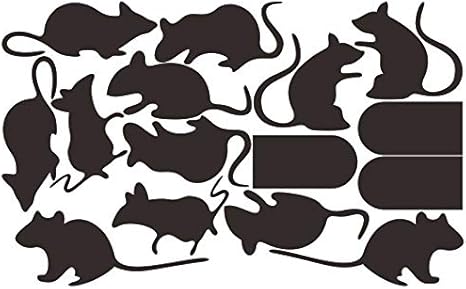 Amazon.com: BooDecal Happy Halloween Wall Decals Stickers DIY Rats Mice ...