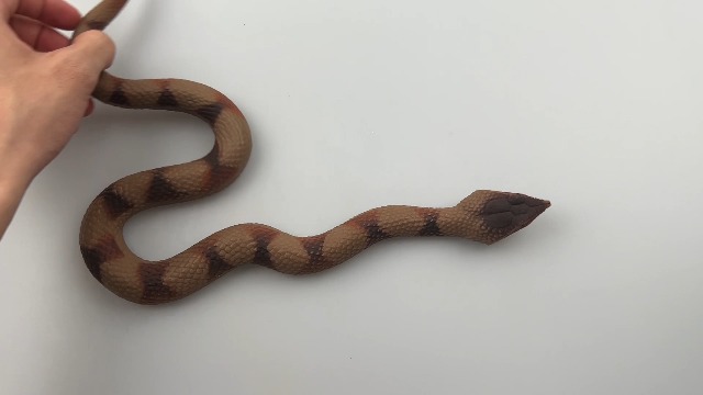Watch Morofme Realistic Rubber Snakes Fake Snake Toys on Amazon Live