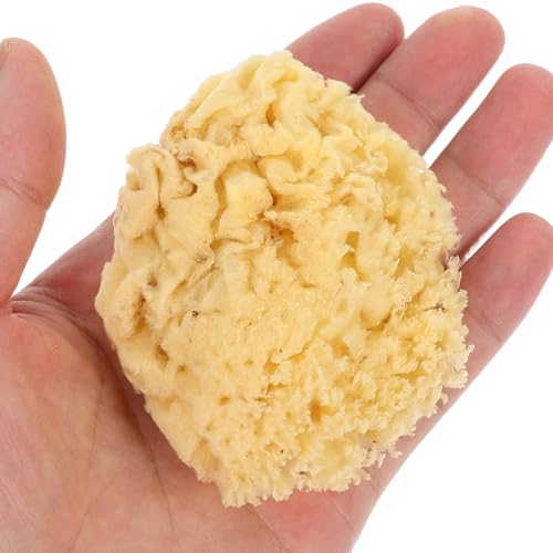 OSOLADY Natural Sea Sponge for Painting and Face Painting 2.0-2.5 Inch ...