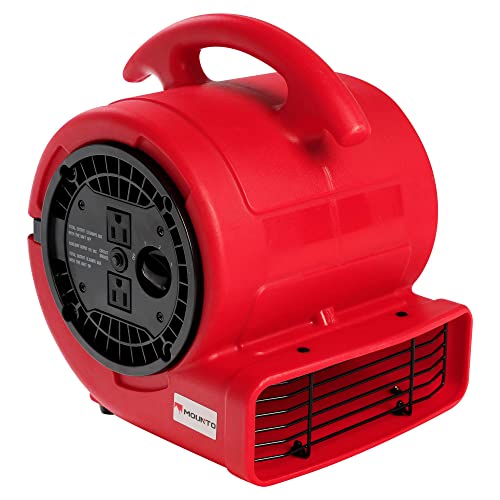 Top 10 Best Fan To Dry Carpet : Reviews & Buying Guide - Katynel