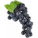 SAMYO 4 Bunches of Artificial Black ,Red, Green and Purple Grapes Fake ...