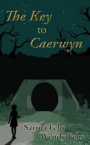 Amazon.com: The Key to Caerwyn eBook : Fehr, Sarina, Fehr, Wendy, Fehr ...
