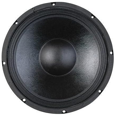 Amazon.com: multicomp PRO Woofer with Paper Cone and Cloth Surround, 12 ...