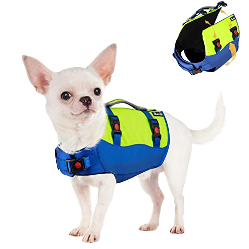 10 Best Dog Life Vests | 2024