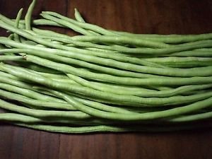 Nelesa GardeningCowpea - Long Bean - Borboti - Barbatti - 30 Seeds ...