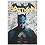 Amazon.com : DC Comics Bat Signal Over Gotham City Gallery Wrapped ...