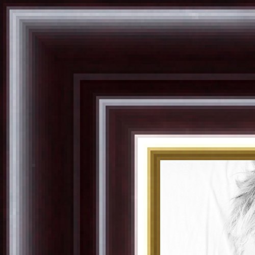 ArtToFrames 16x21 / 16 x 21 Picture Frame Dark Cherry with Gold Lip 1.5 ...