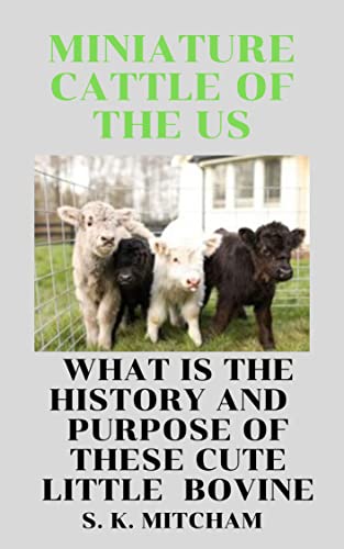 Amazon.com: Miniature Cattle in the US: The history and the purpose of ...