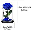 Amazon.com: Preserved Roses Royal Blue Roses in Glass Dome, Medium ...
