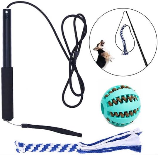 Riopan Dog Flirt Pole for Dogs Teasing Interactive Toy with Cotton ...