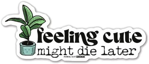 Amazon.com: Moonlight Makers Funny Stickers - Feeling Cute, Might Die ...