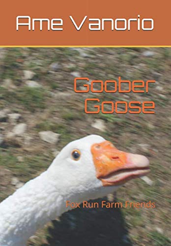 Goober Goose: Fox Run Farm Friends: Vanorio, Ame: 9781692363628: Amazon ...