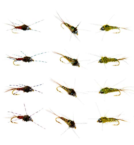 How Long Do Mayflies Live? Life Cycle, Factors, And Lifespan Variations ...