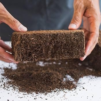 Pankaj Nursery Cocopeat for Plants, 600 GMS, Pack of 1 : Amazon.in ...