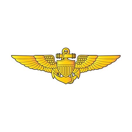 Amazon.com: fagraphix Gold Navy Aviator Wings Sticker Decal Self ...