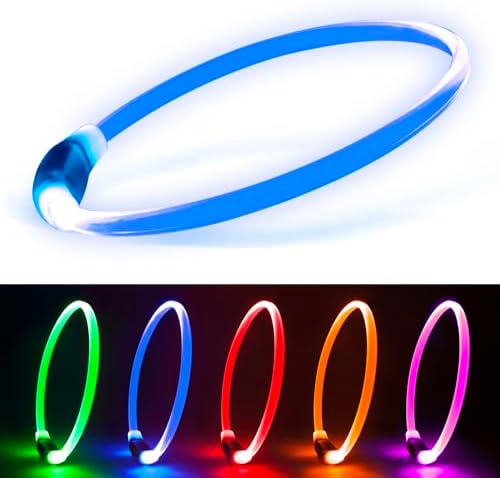Amazon.com : Led Dog Collars for Small Dog,Vizpet XS Light up ...