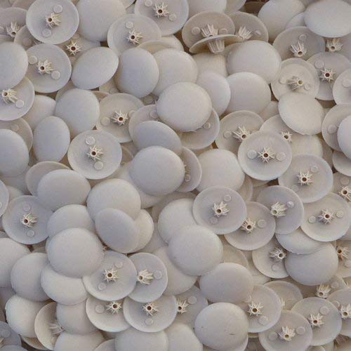 Bifix Cover Caps Press-in Caps for Pozi & Phillips Screws - Pack of 50 ...