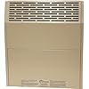 Amazon.com: HouseWarmer Slim-Profile Direct Vent Heater with Blower ...