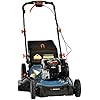 Amazon.com : SENIX LSSG-H2 22-Inch Self Propelled Gas Lawn Mower with ...