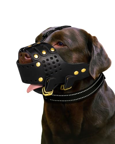 10 Best Muzzle For Aggressive Dog