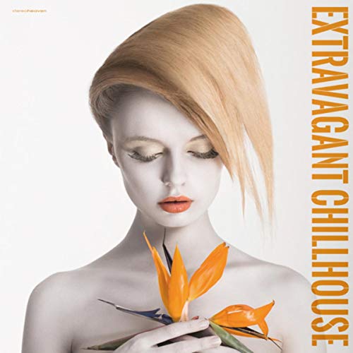 Amazon MusicでVARIOUS ARTISTSのExtravagant Chillhouseを再生する