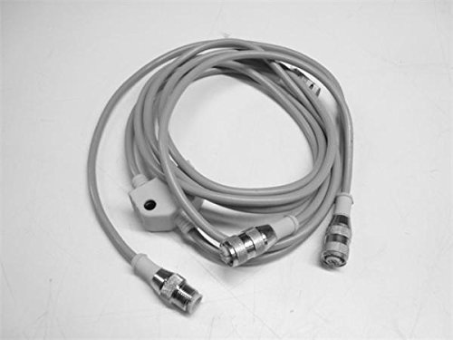 Amazon.com: Turck Vb2-Rs 4.4T-0.5/2Rk 4T-1/1 Cordset, 4 Pole, Y ...