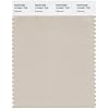PANTONE Smart 13-0401X Color Swatch Card, Oatmeal - House Paint ...